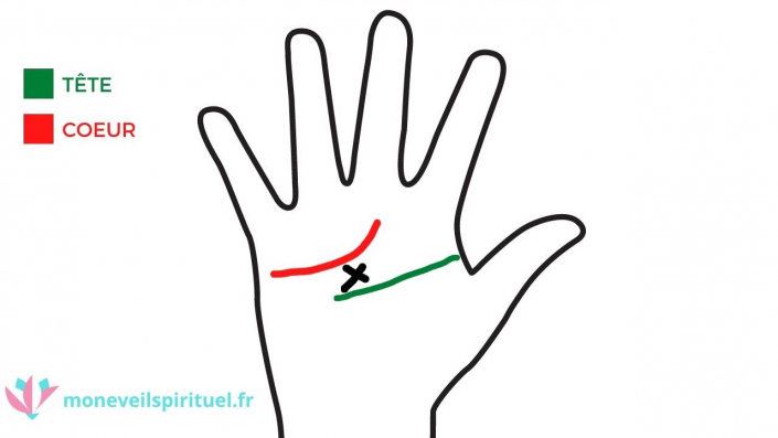 Comment lire les lignes de la main ? - Mon Éveil Spirituel