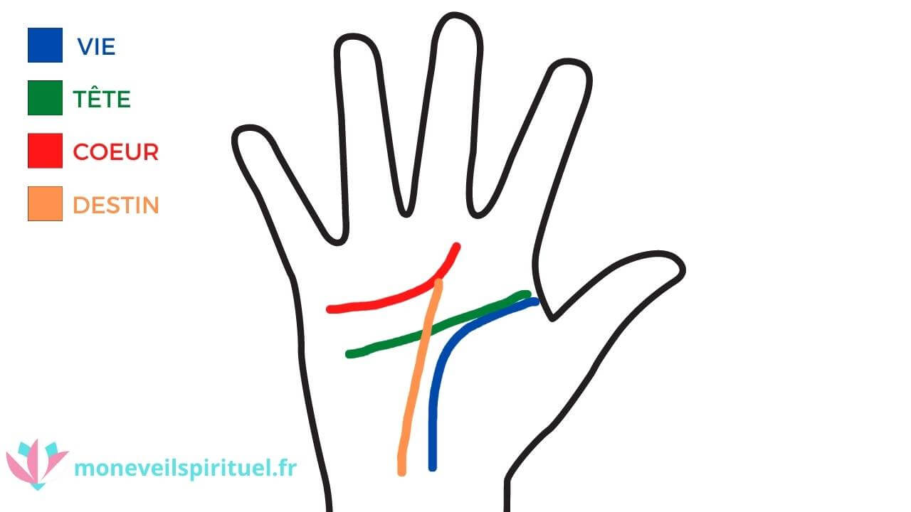 Comment lire les lignes de la main ? - Mon Éveil Spirituel