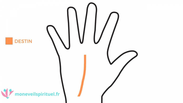 Comment lire les lignes de la main ? - Mon Éveil Spirituel